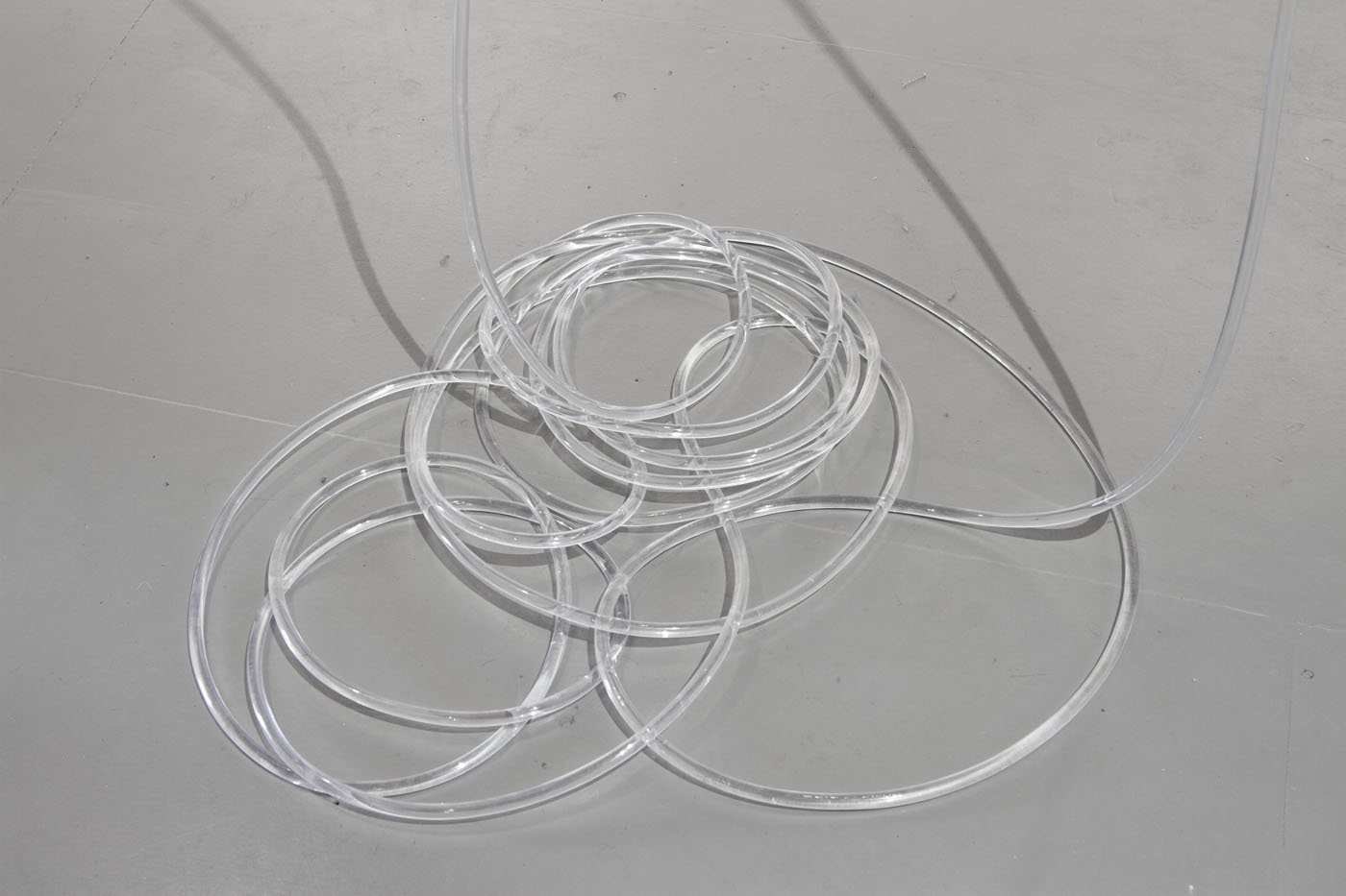Gary Zhexi Zhang